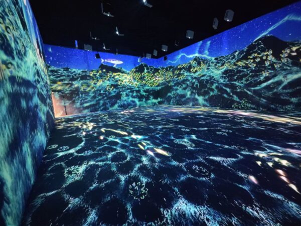 Step into the Future: Immersive Projection Mapping Game In 2024