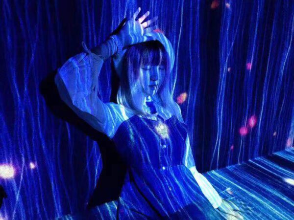 Exploring Components of Floor Interactive Projection System price Exploring Components of Floor Interactive Projection System price
