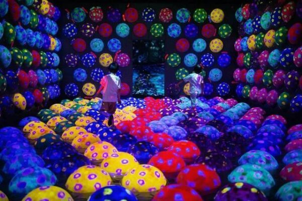 Best Rapidly Rotating Bouncing Sphere Art House Design Systems